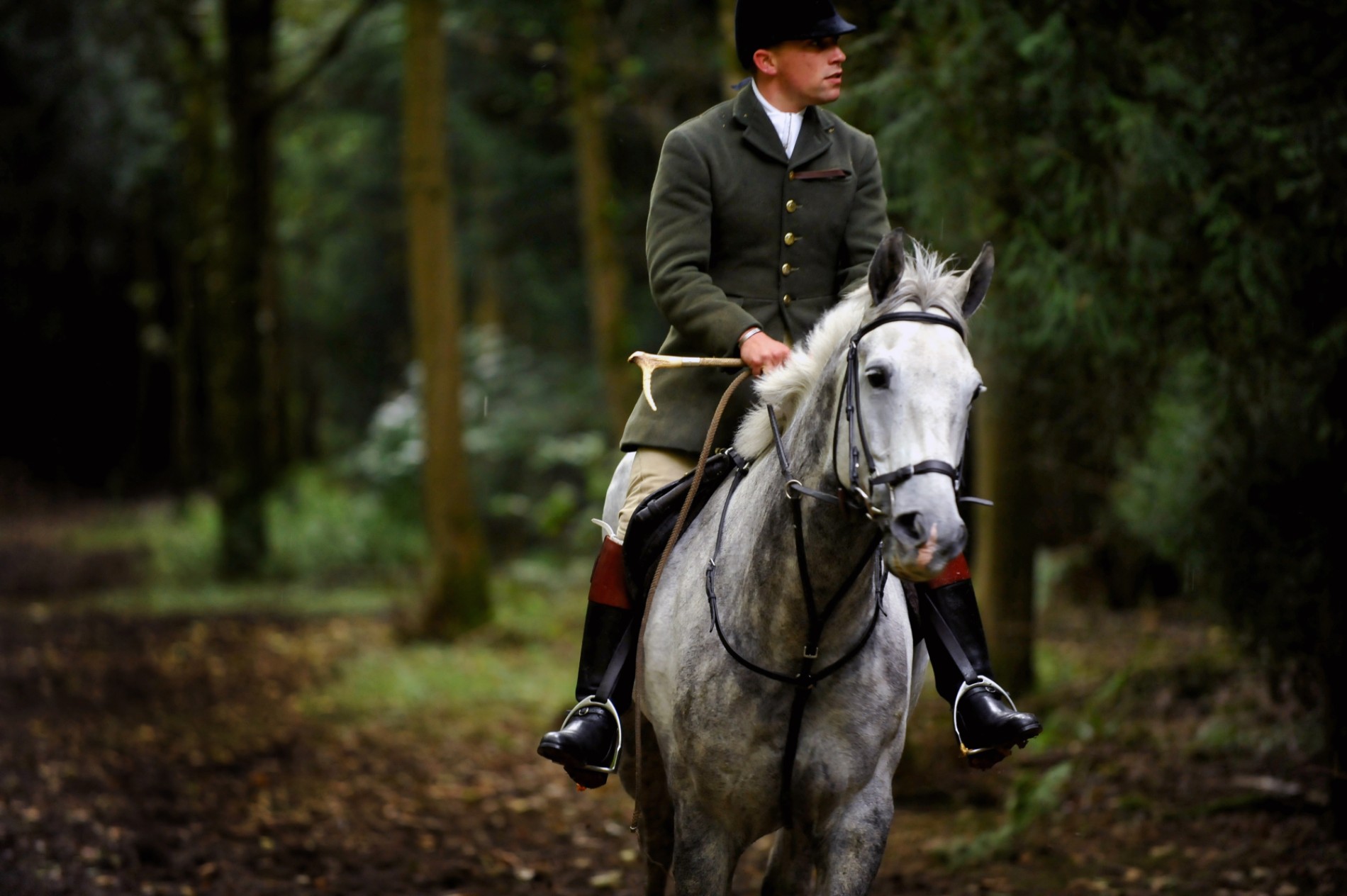 Homepage - The Hunting Stock Market